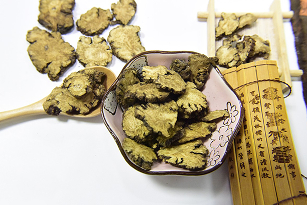 What are the benefits of Ligusticum? - Wellgreen