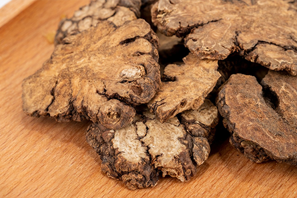 What are the benefits of Ligusticum? - Wellgreen