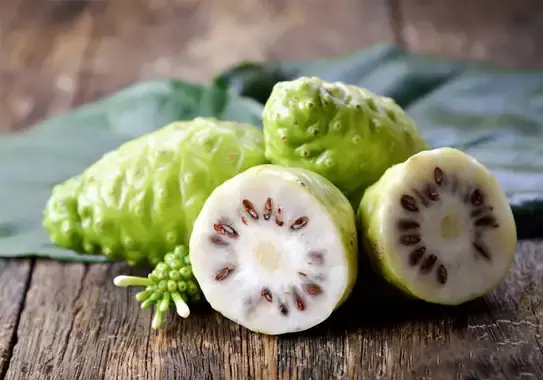 What Is Morinda Good For? - Wellgreen