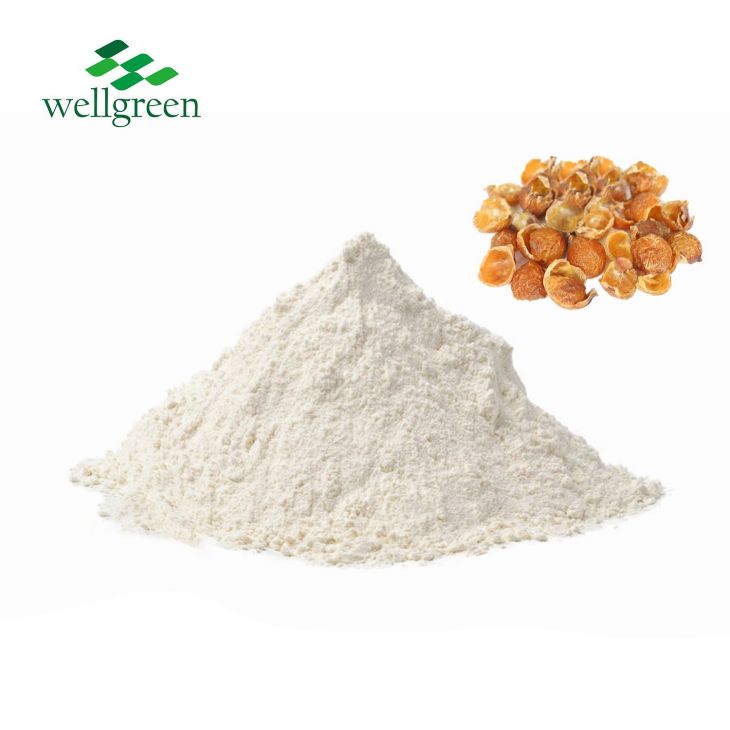 Wholesale Bulk Soapnut Extract - Wellgreen