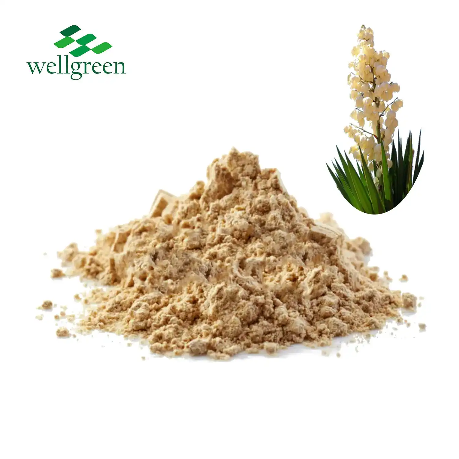 plant-extract-wholesale-ingredients-wellgreen-technology-co-ltd